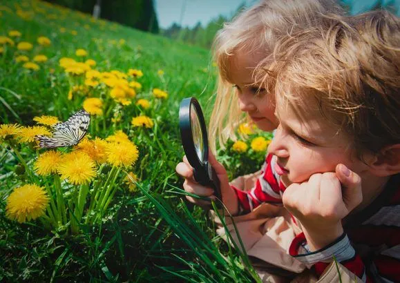 Learn A Little: The Many Types of Naturalists | Cook Museum of Natural ...
