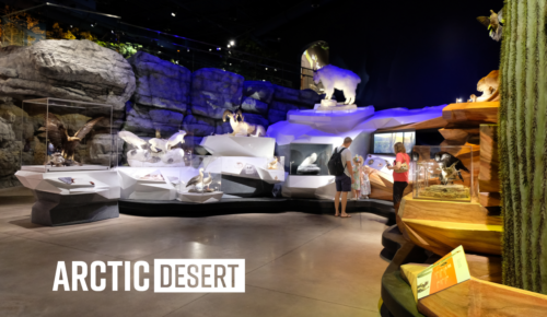 Arctic-Desert | Cook Museum of Natural Science