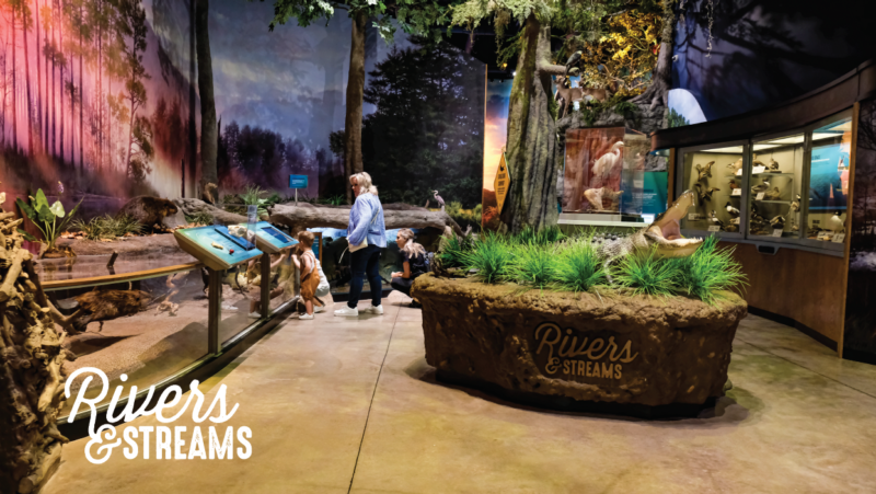 Exhibits | Cook Museum of Natural Science