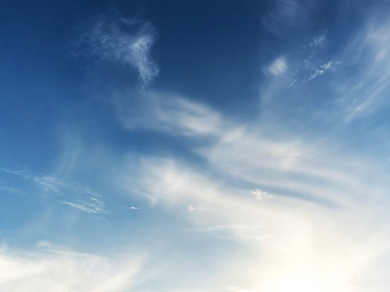 All About Air | Cook Museum of Natural Science