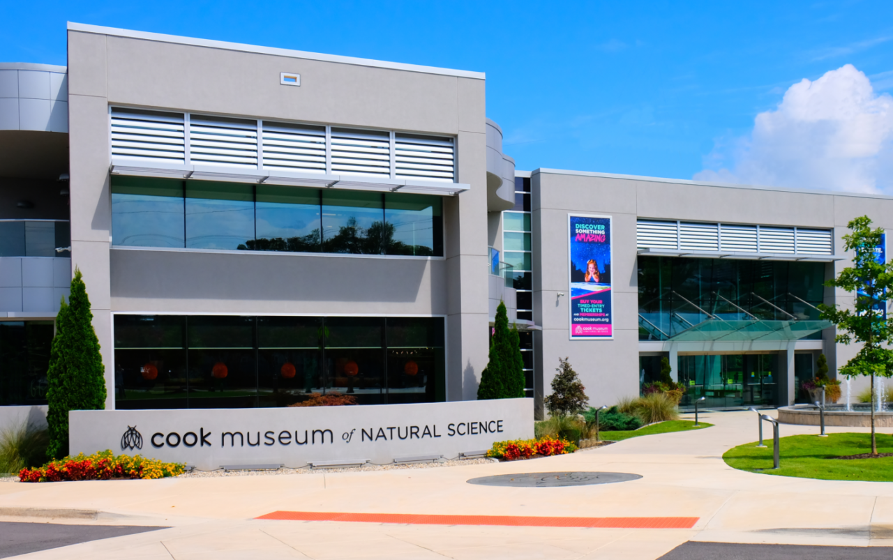 Rent the Museum | Cook Museum of Natural Science