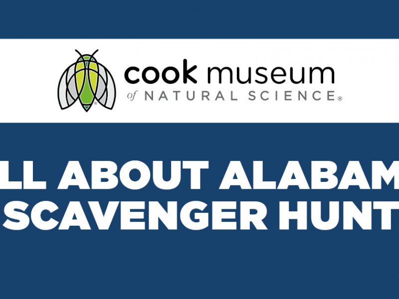 All About Alabama Scavenger Hunt | Cook Museum of Natural Science