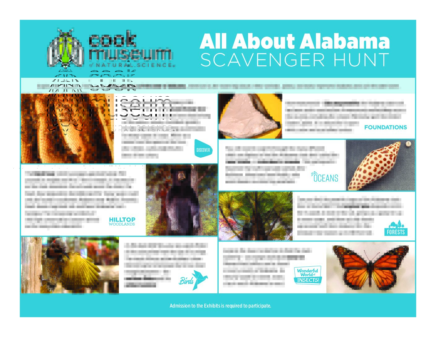 Scavenger Animals List Zoo Scavenger Hunt