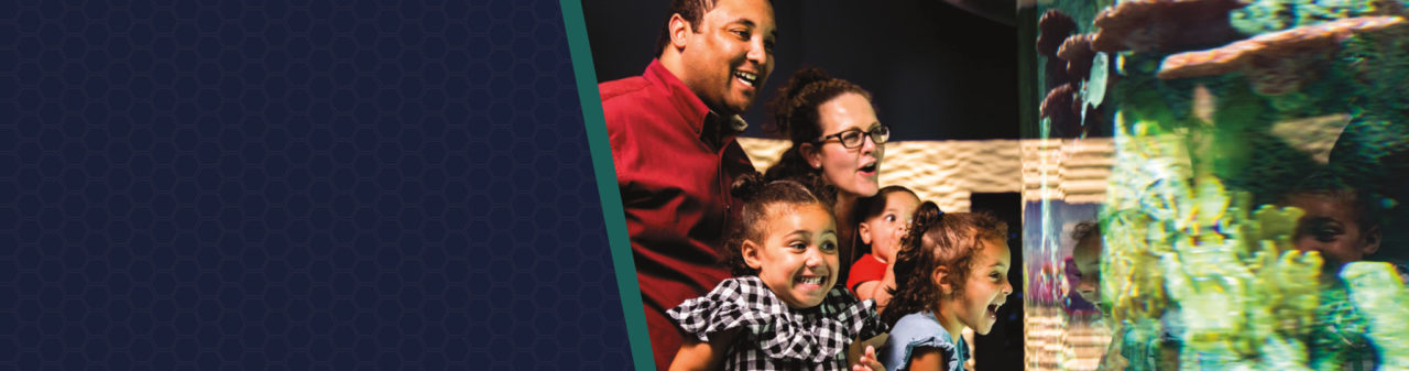 Cook Museum of Natural Science | Life is Amazing