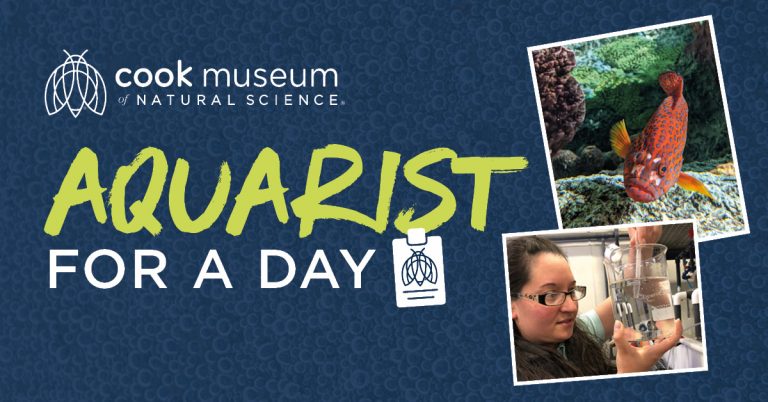 Cook Museum of Natural Science | Life is Amazing