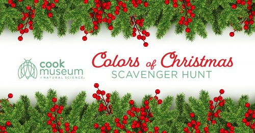 Colors of Christmas Scavenger Hunt | Cook Museum of Natural Science