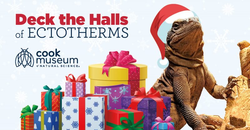 Cook Museum of Natural Science | Life is Amazing