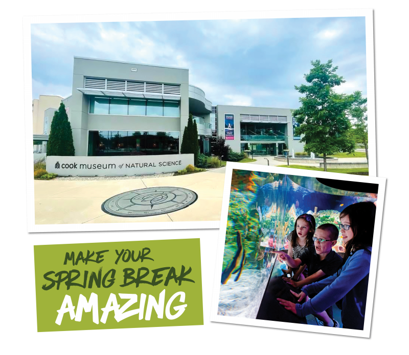 Spring Break at the Museum 2023 landing page | Cook Museum of Natural ...