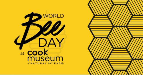 World Bee Day 2023 email | Cook Museum of Natural Science