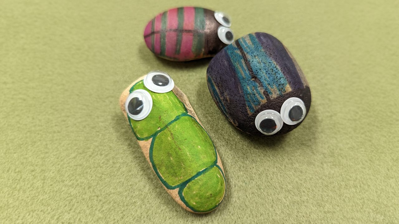 Craft Time: Friendly Rock Bugs | Cook Museum of Natural Science