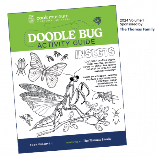 Fifth Year Anniversary | Cook Museum of Natural Science