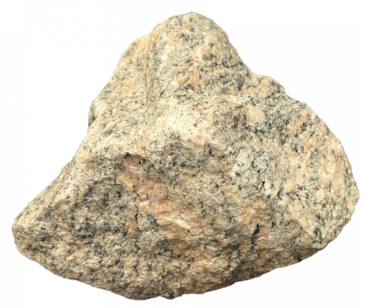 Sneak A Peek: Rocks & Minerals | Cook Museum of Natural Science