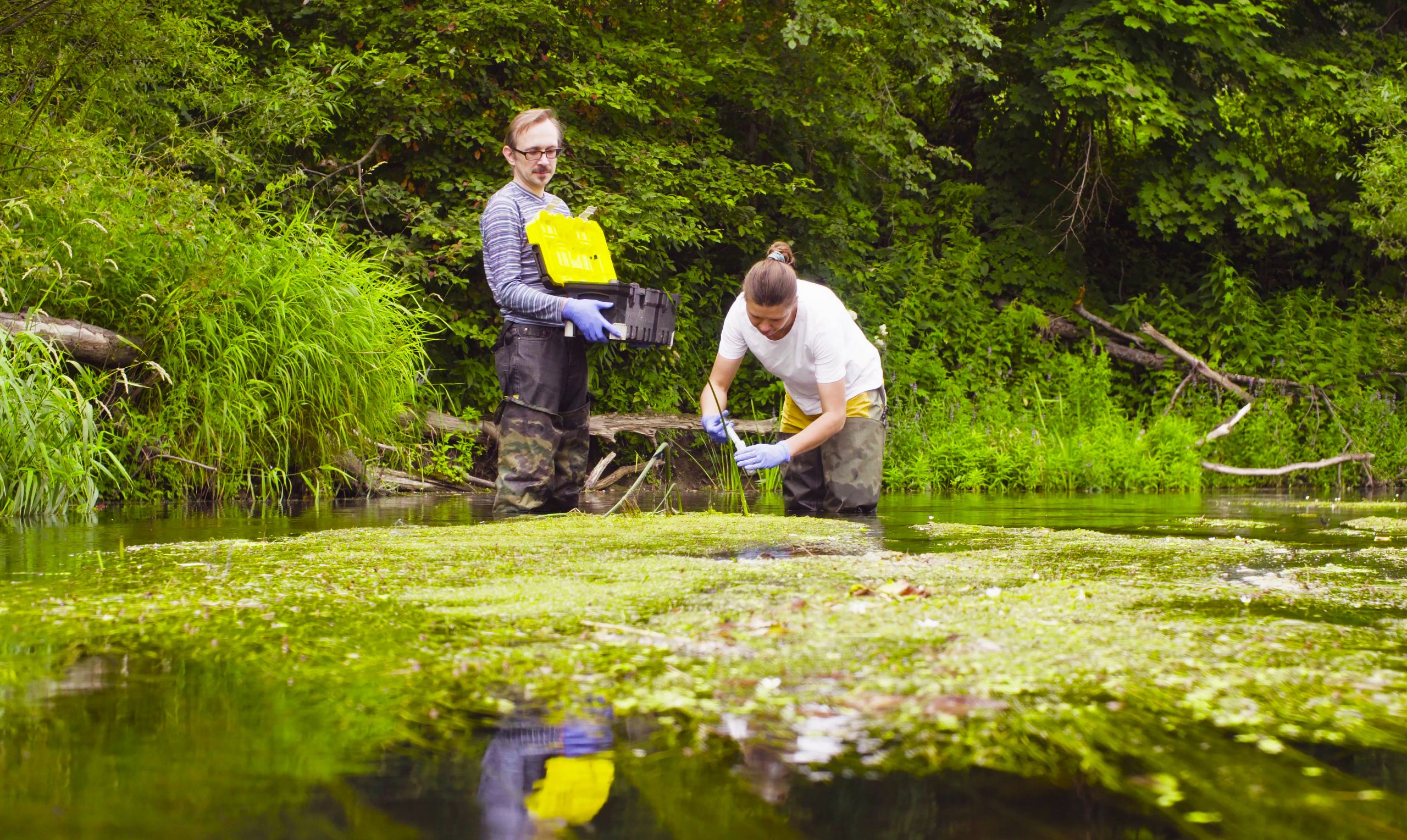 Woman scientist ecologist taking samples of water | Cook Museum of ...